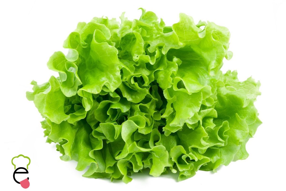 Dicas de como conservar a alface - Receitas com sabor