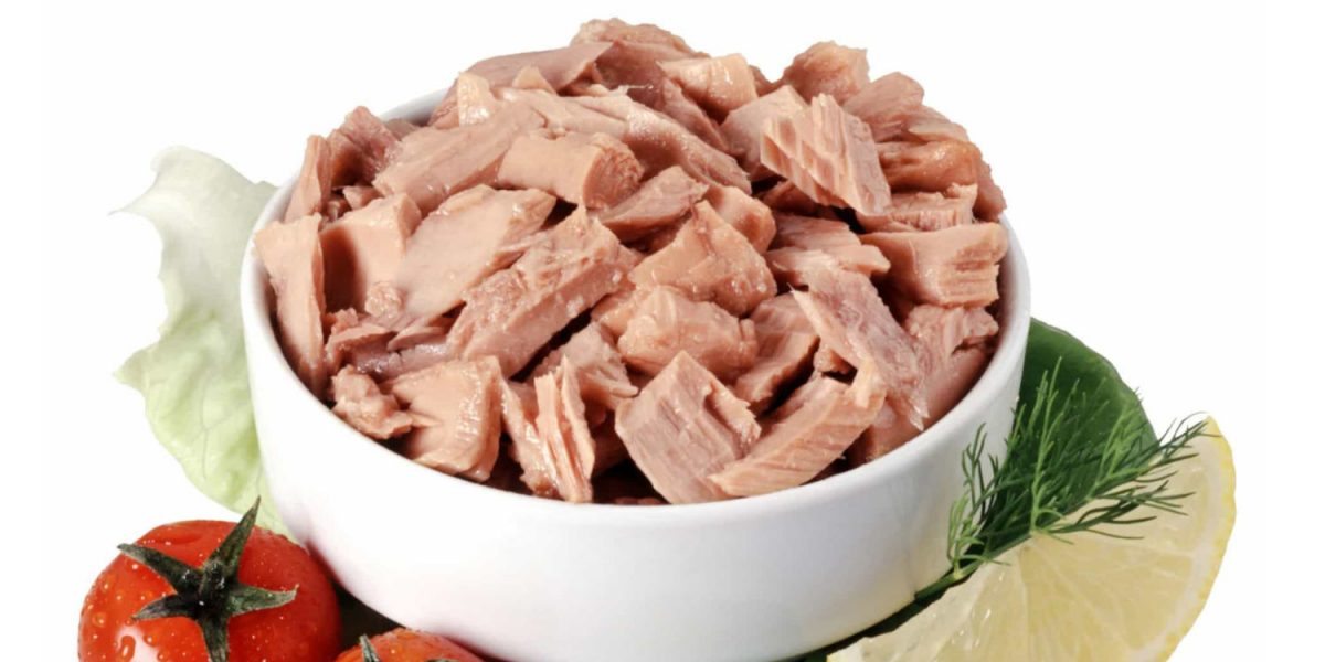 Os benefícios do atum para a saúde - Receitas com sabor