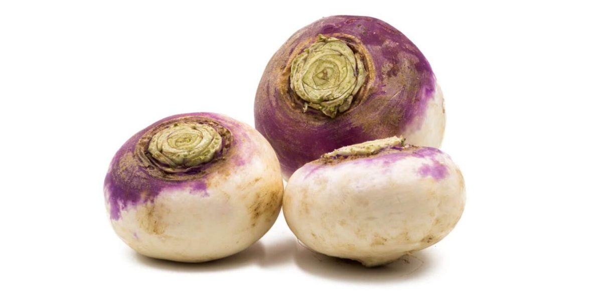 Nabo, conheça os benefícios deste legume - Receitas com sabor